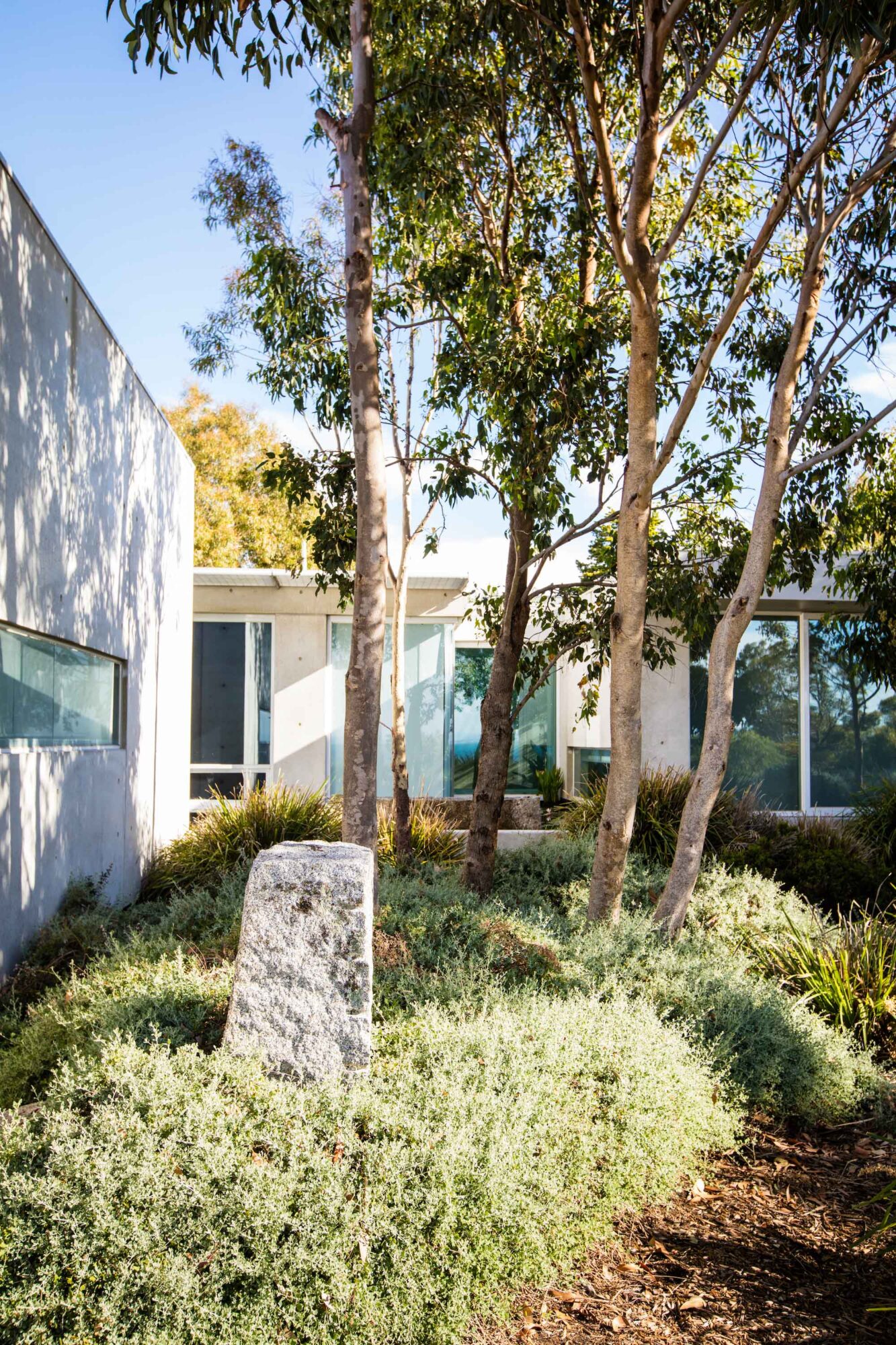 Curlewis — Sam Cox Landscape