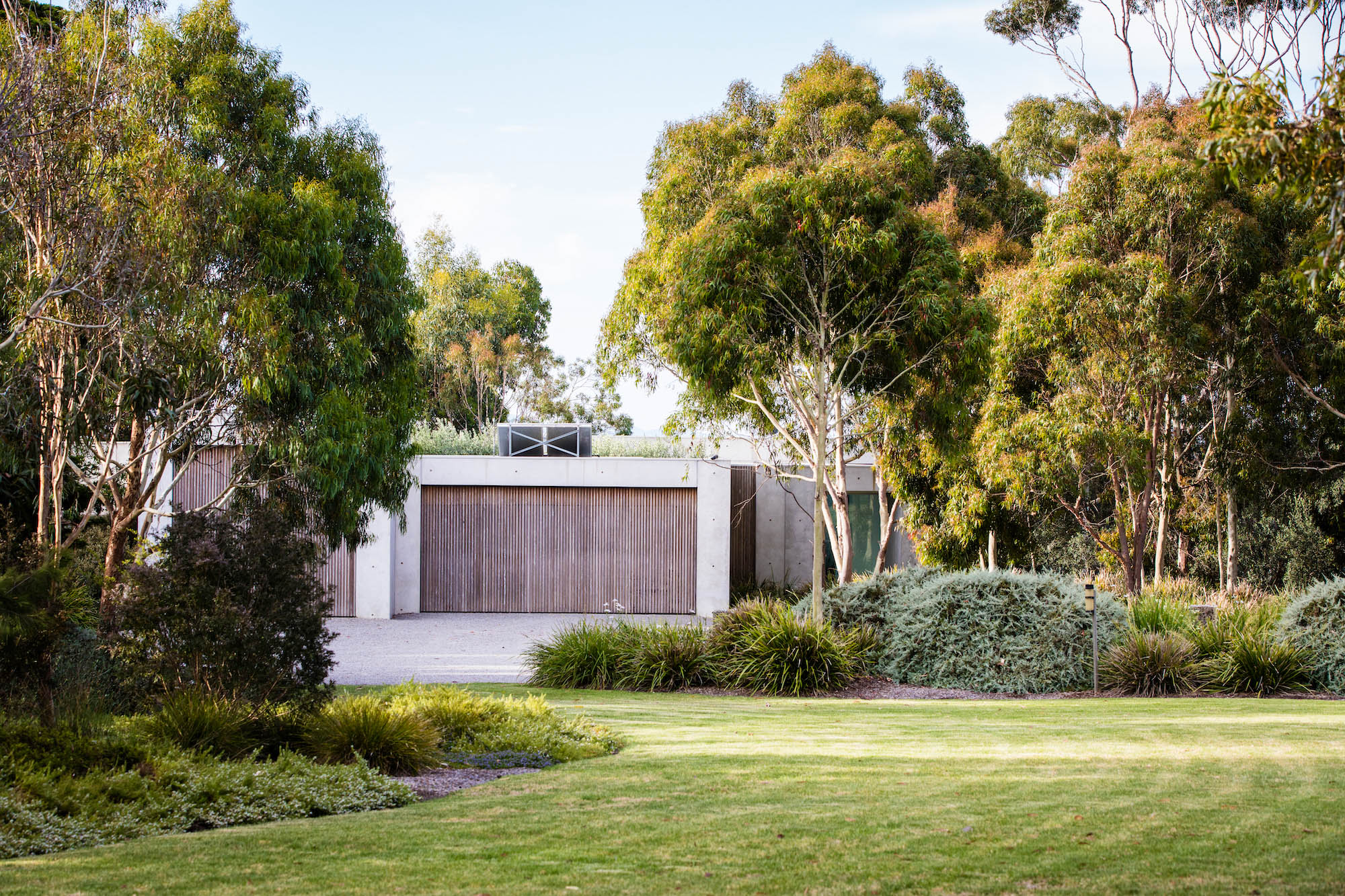 Curlewis — Sam Cox Landscape