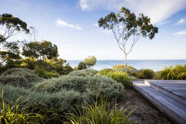 Australian natural style gardens by Sam Cox Landscape