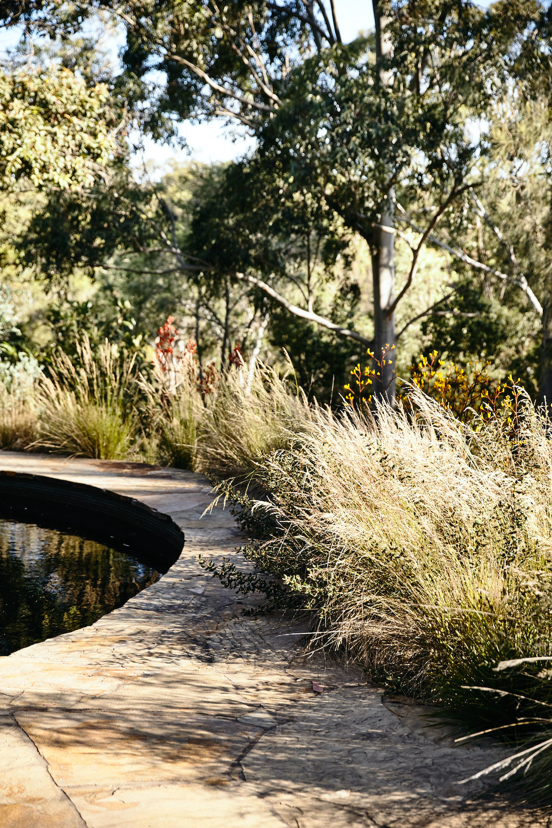 Fairfield — Sam Cox Landscape