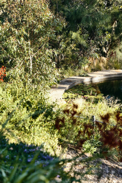 Fairfield — Sam Cox Landscape