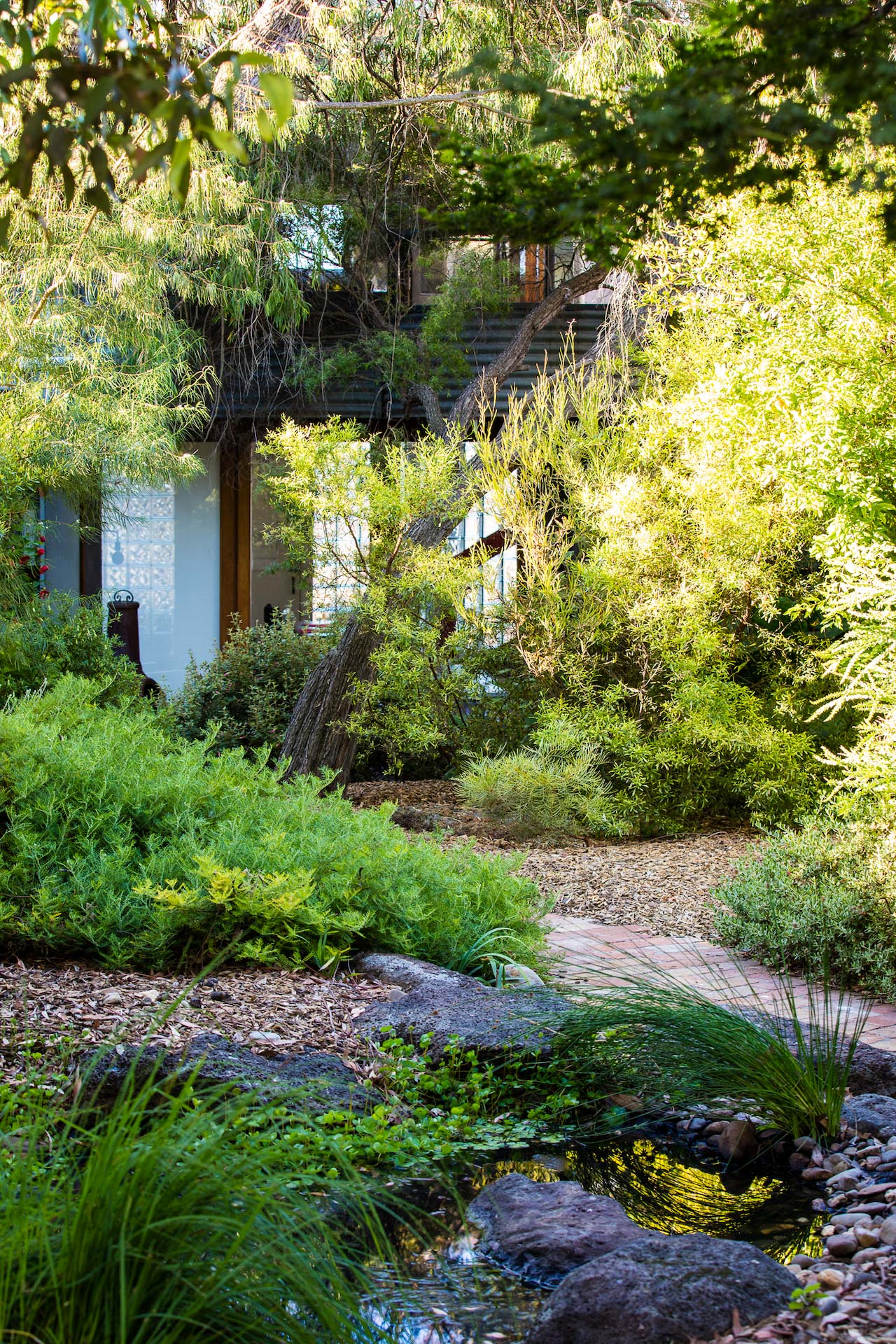 Fitzroy — Sam Cox Landscape