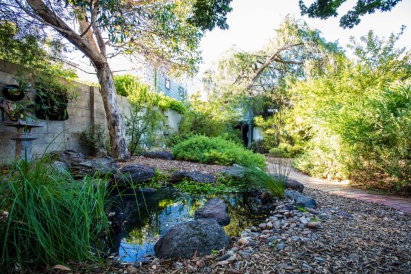 Fitzroy — Sam Cox Landscape