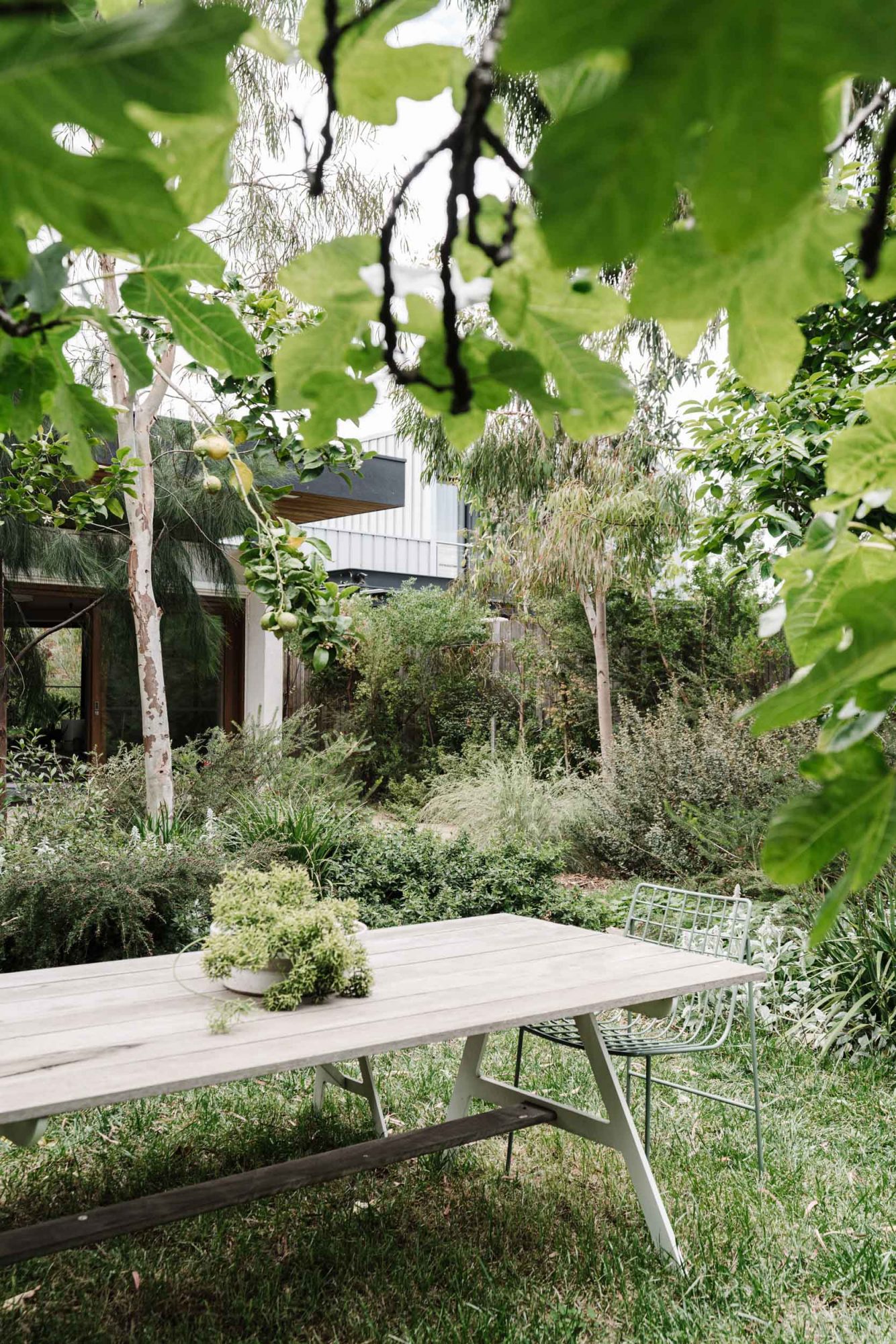 Fitzroy North — Sam Cox Landscape