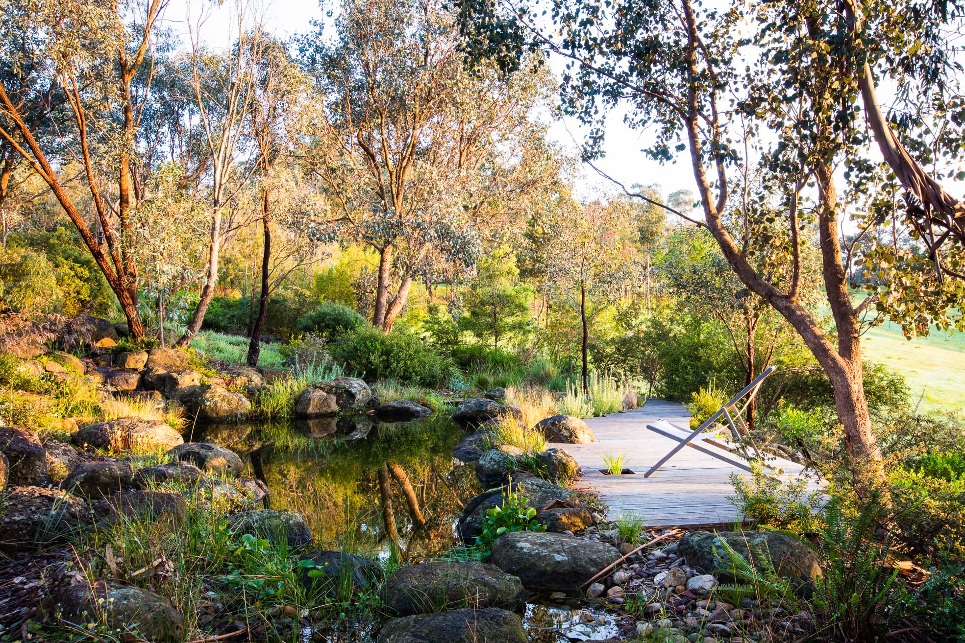 Sam Cox's naturalistic bush gardenWattle Glen — Sam Cox Landscape