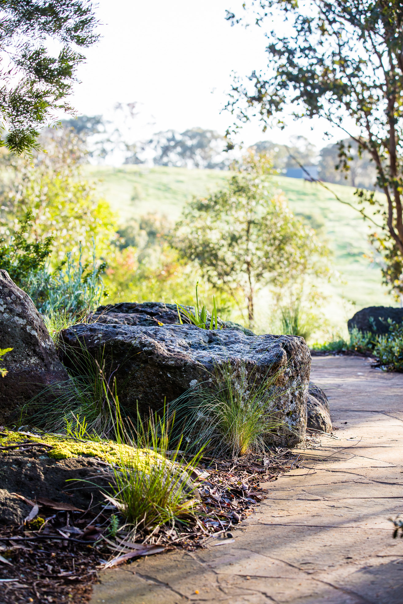Sam Cox's naturalistic bush gardenWattle Glen — Sam Cox Landscape