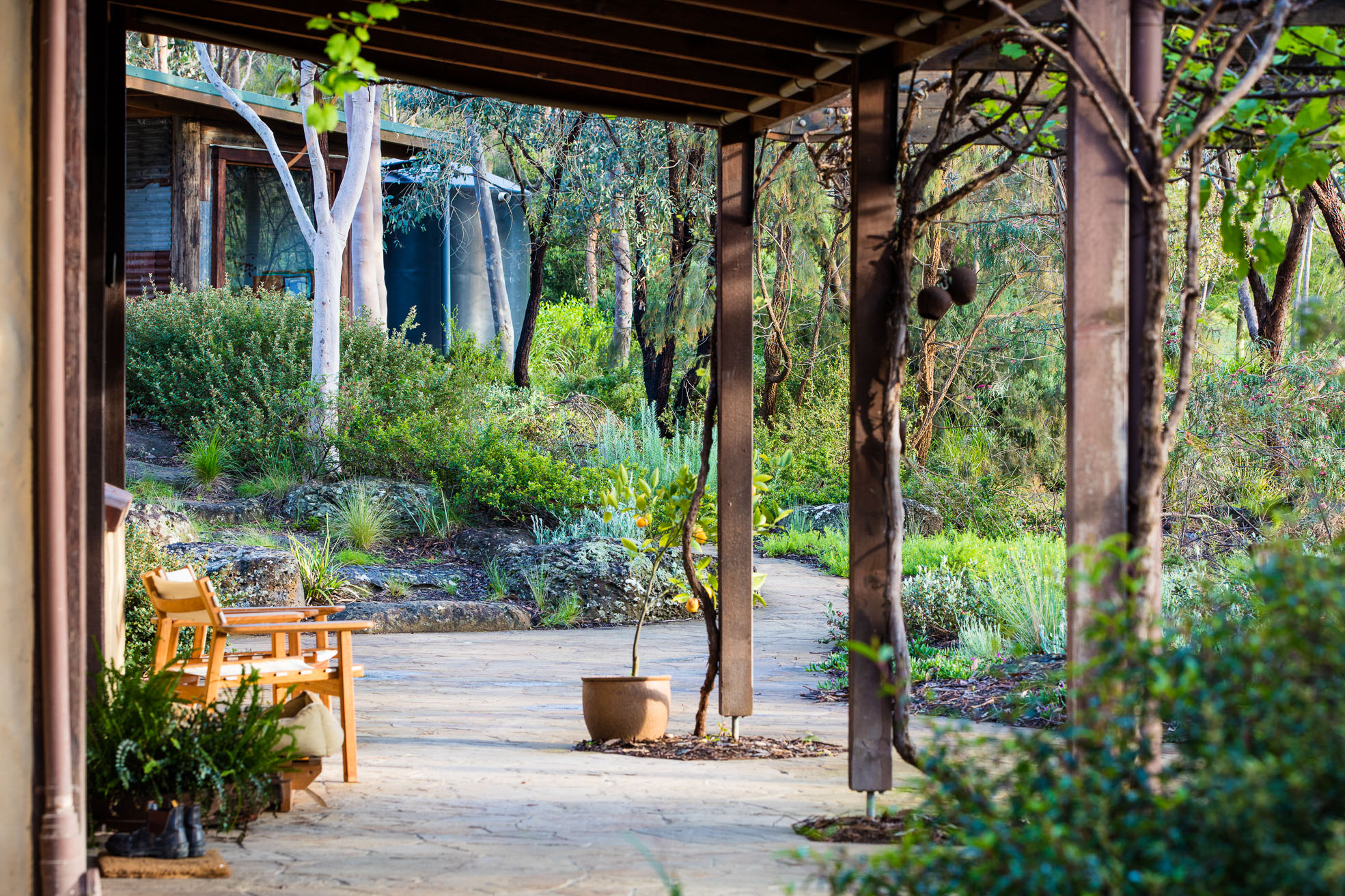 Sam Cox's naturalistic bush gardenWattle Glen — Sam Cox Landscape