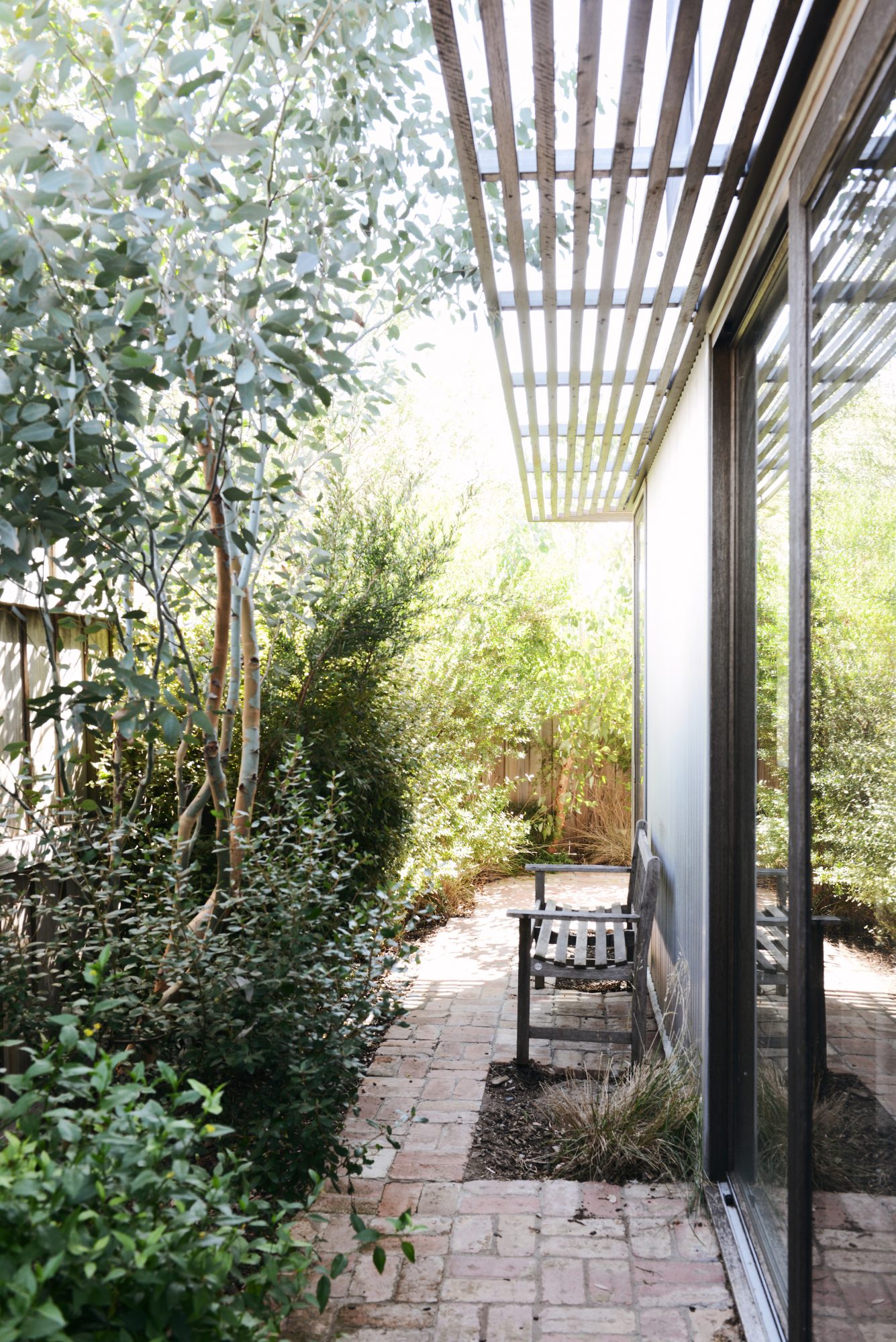 Australian natural style gardens by Sam Cox Landscape