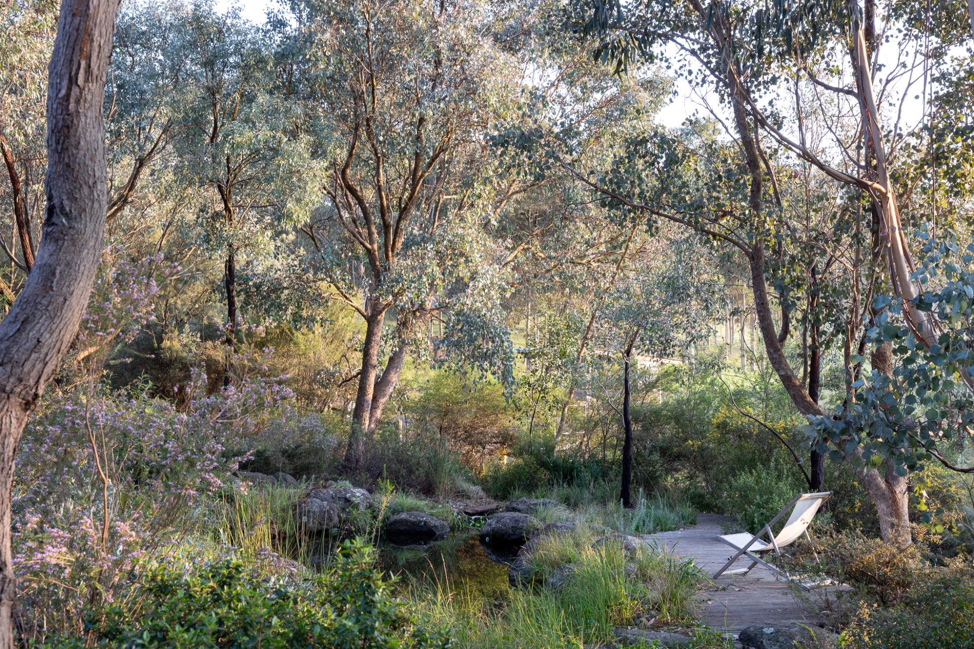 Sam chats with Jonathan Green on ABC Radio National — Sam Cox Landscape
