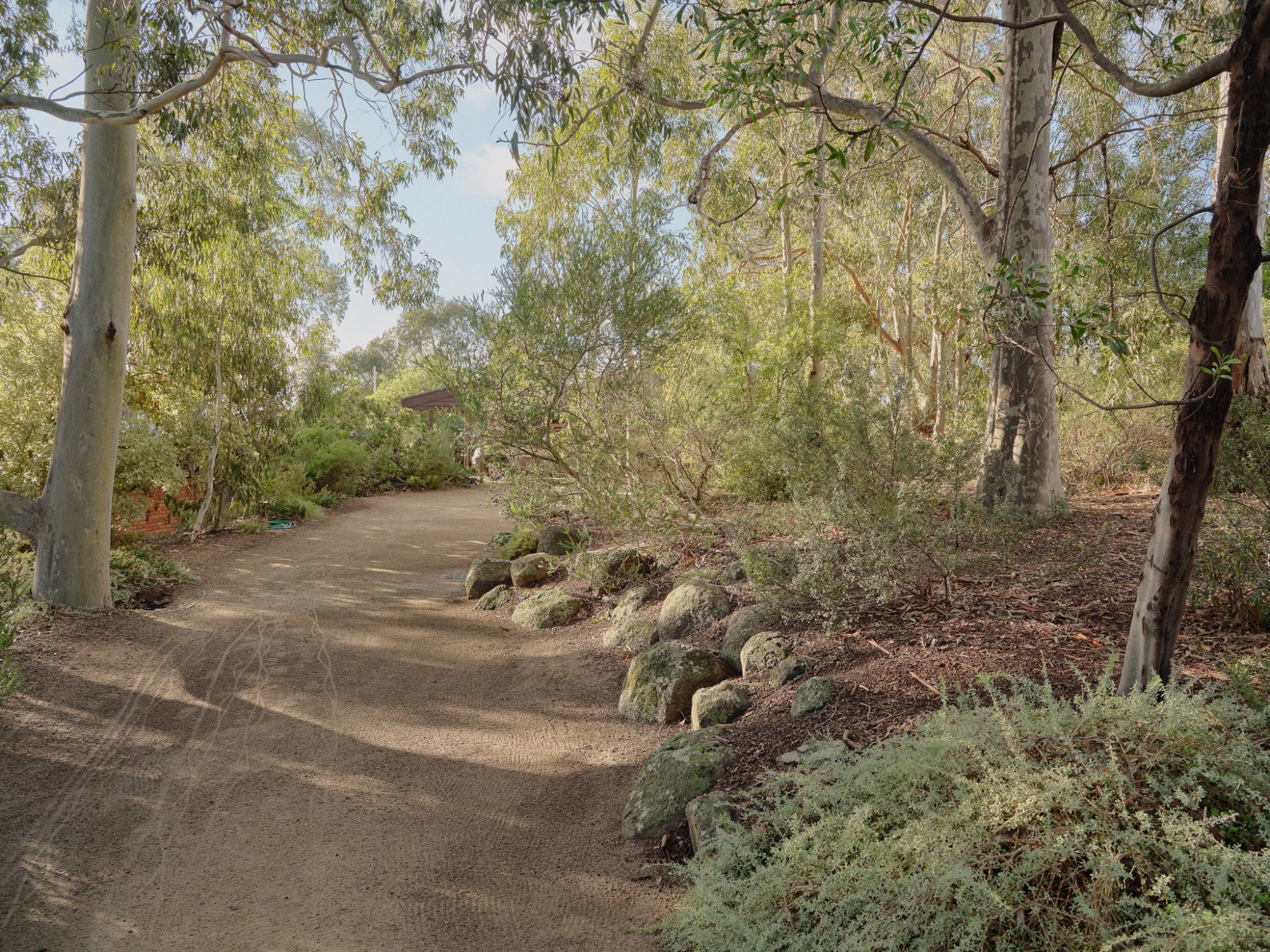 Bush Landscape by Gordon Ford and Sam Cox — Sam Cox Landscape