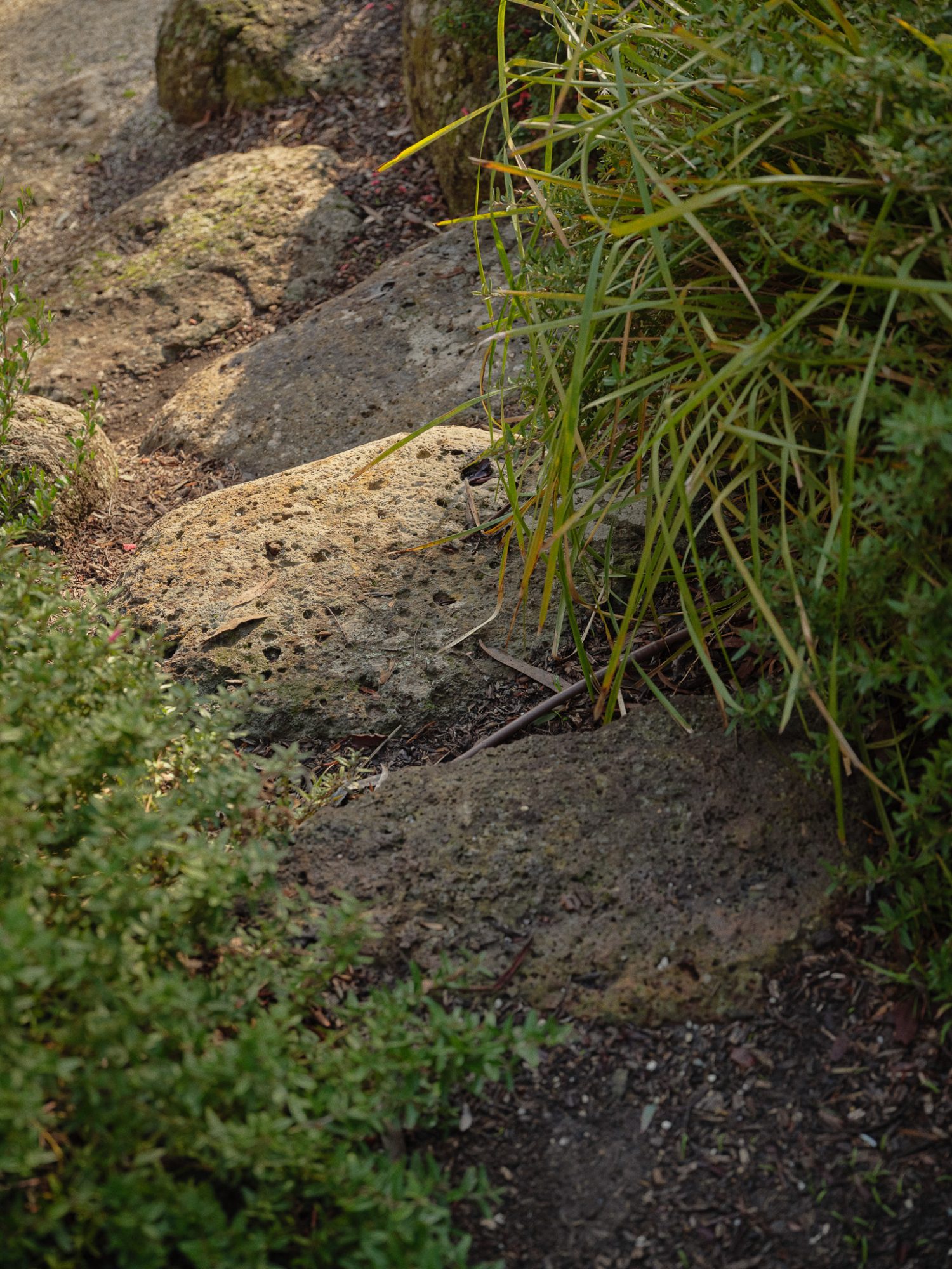 Bush Landscape by Gordon Ford and Sam Cox — Sam Cox Landscape