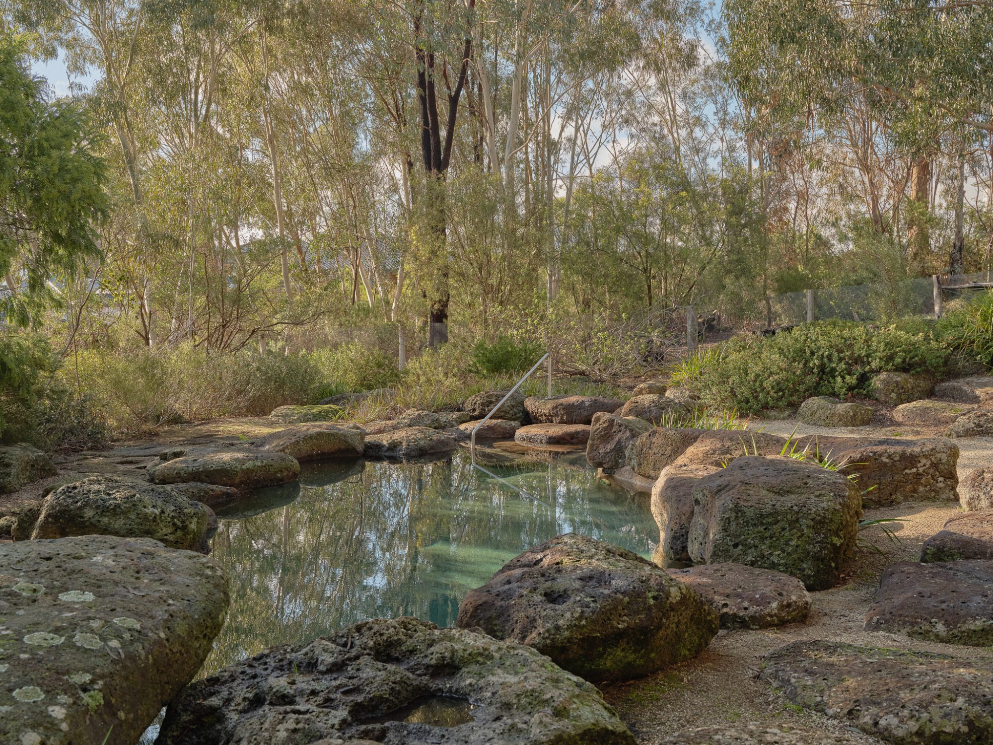 Bush Landscape by Gordon Ford and Sam Cox — Sam Cox Landscape