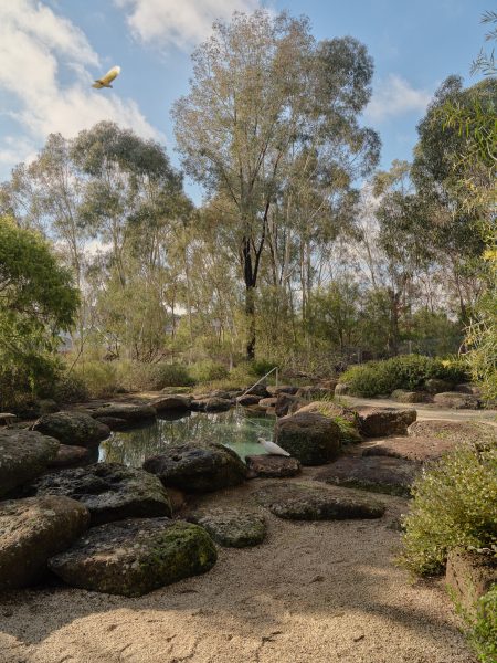 Bush Landscape by Gordon Ford and Sam Cox — Sam Cox Landscape
